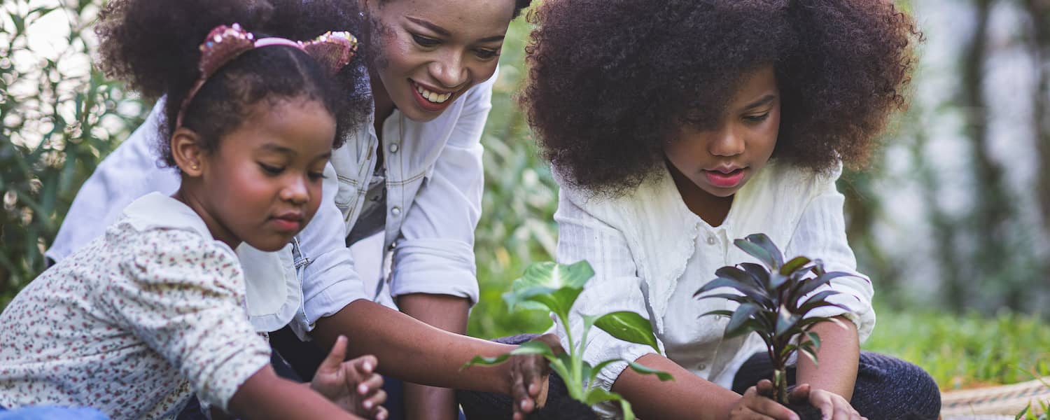 Revamp and Reengage: Are Your Nurture Programs Effective? | DemandLab